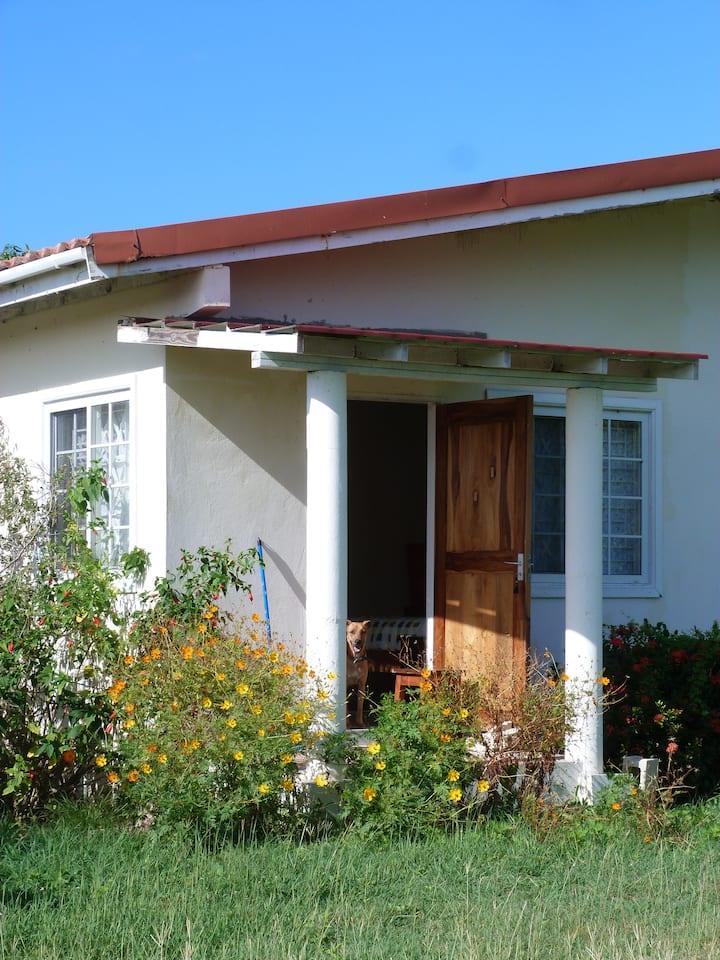 Home Away From Home - Jamaica