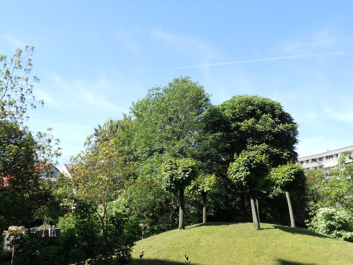 Lichtdurchflutete 1,5 Zi. Wohnung Mit Hallenbad - Francfort