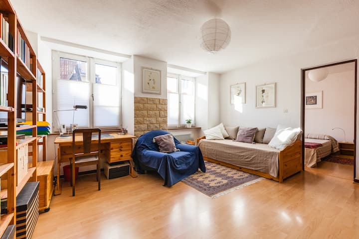 Beautiful Flat In Ancient Court Near Strasburg - Haguenau