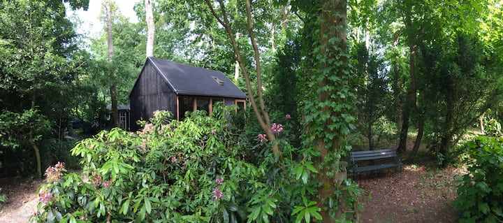 Quiet Cottage In Nature - Schoorl