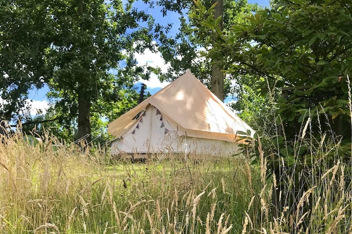Bell Tent - Blackcurrant - Chipping Norton