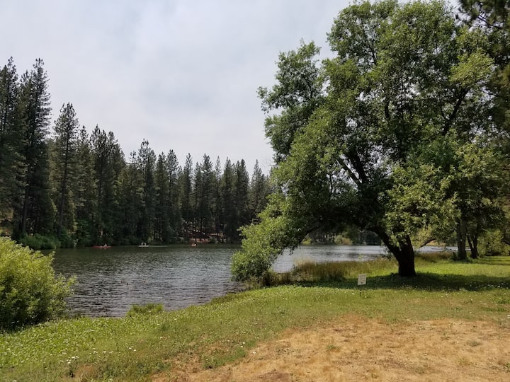 Bear Necessities - Arnold, CA