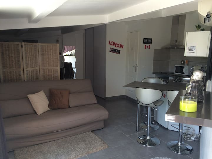 Studio Indépendant Villa à Biot - Biot