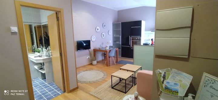 Paz Termal Apartmento Ourense Centro - Ourense