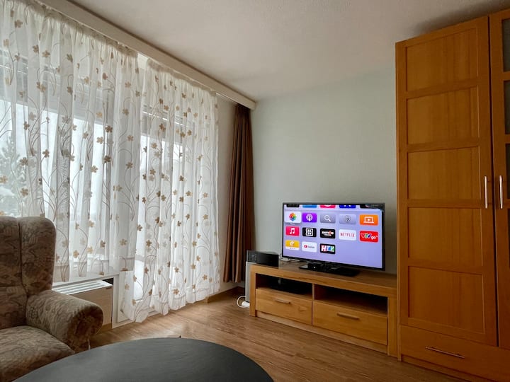 Big Studio With Fabulous Alps View + Free Parking - Adelboden