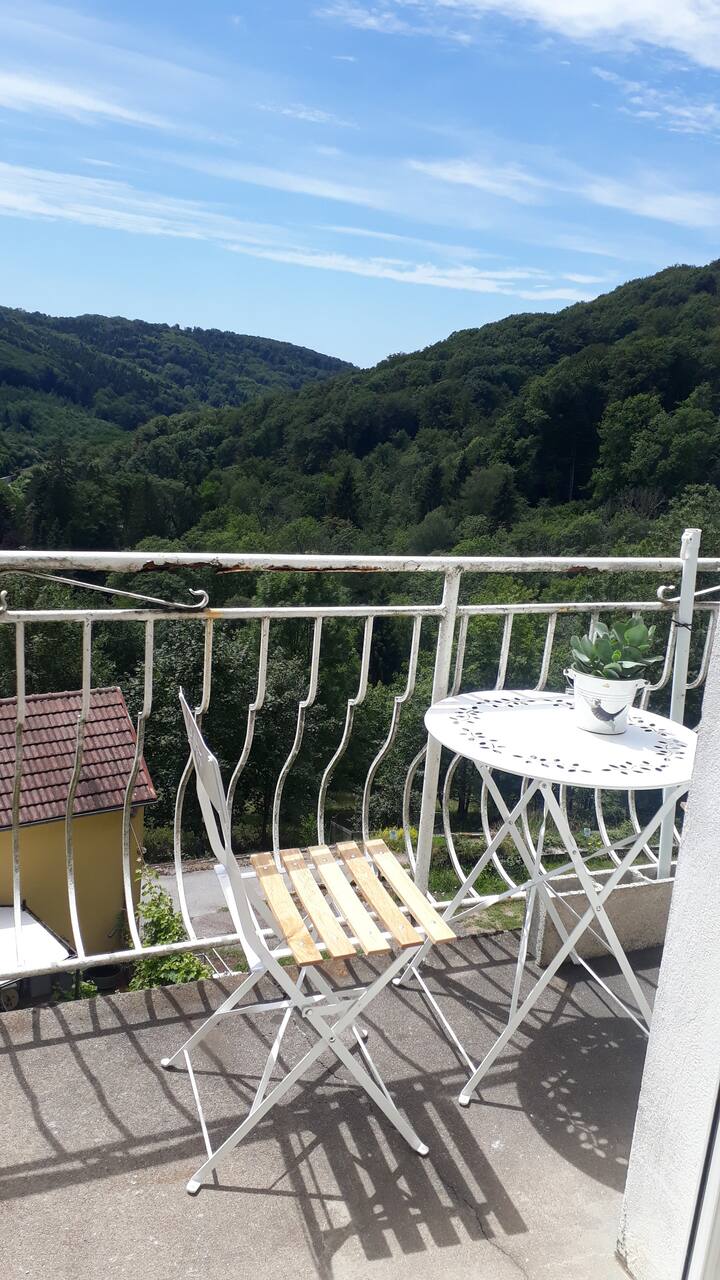 Surya : F1 Avec Balcon, Entre Ville Et Forêt - Plombières-les-Bains