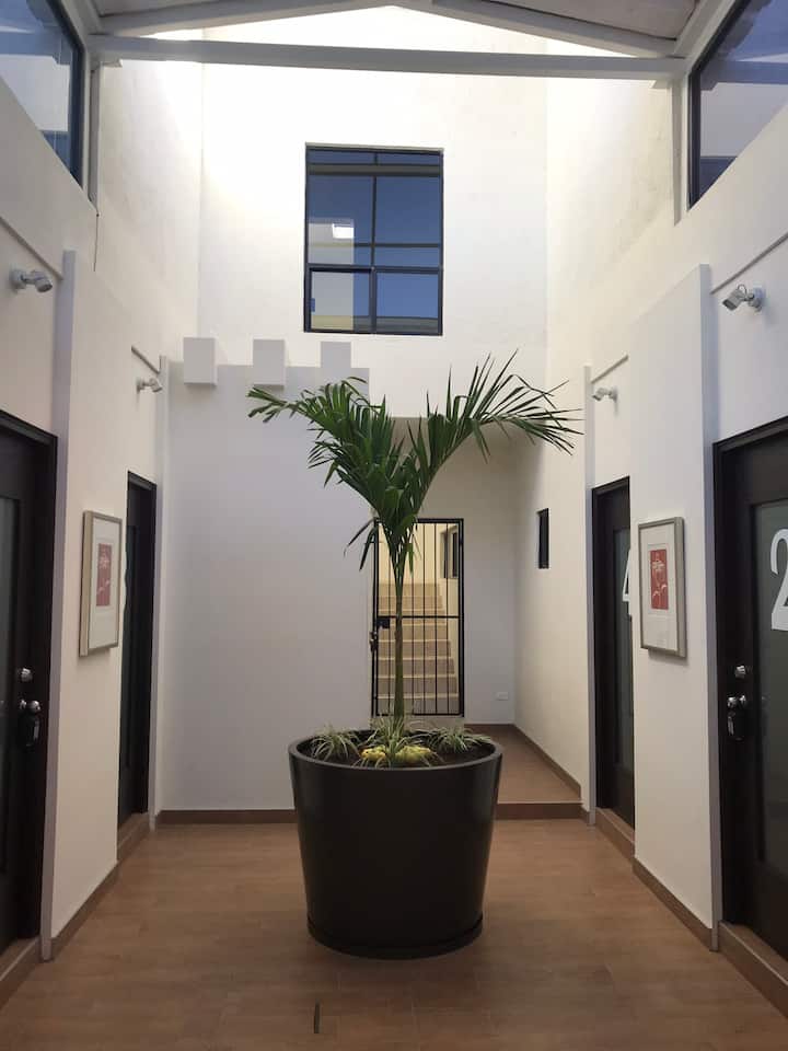 Centro Para 4-5  Con 2 Baños Sin Cuota Limpieza - Chihuahua