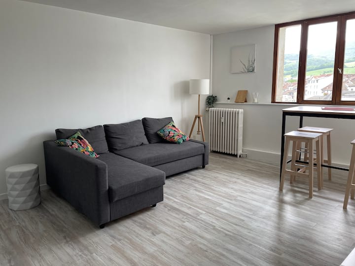 Appartement Lumineux Et Fonctionnel . Vue Dégagée - Seyssel