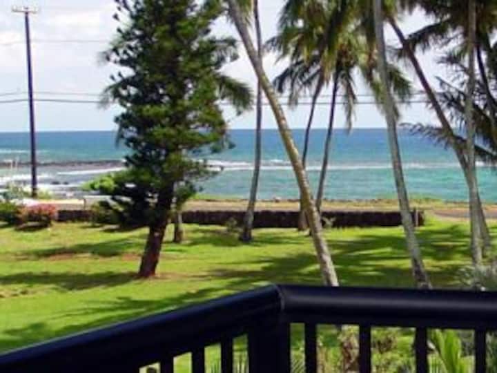 Lovely Ocean View Prince Kuhio #111 - Koloa, HI