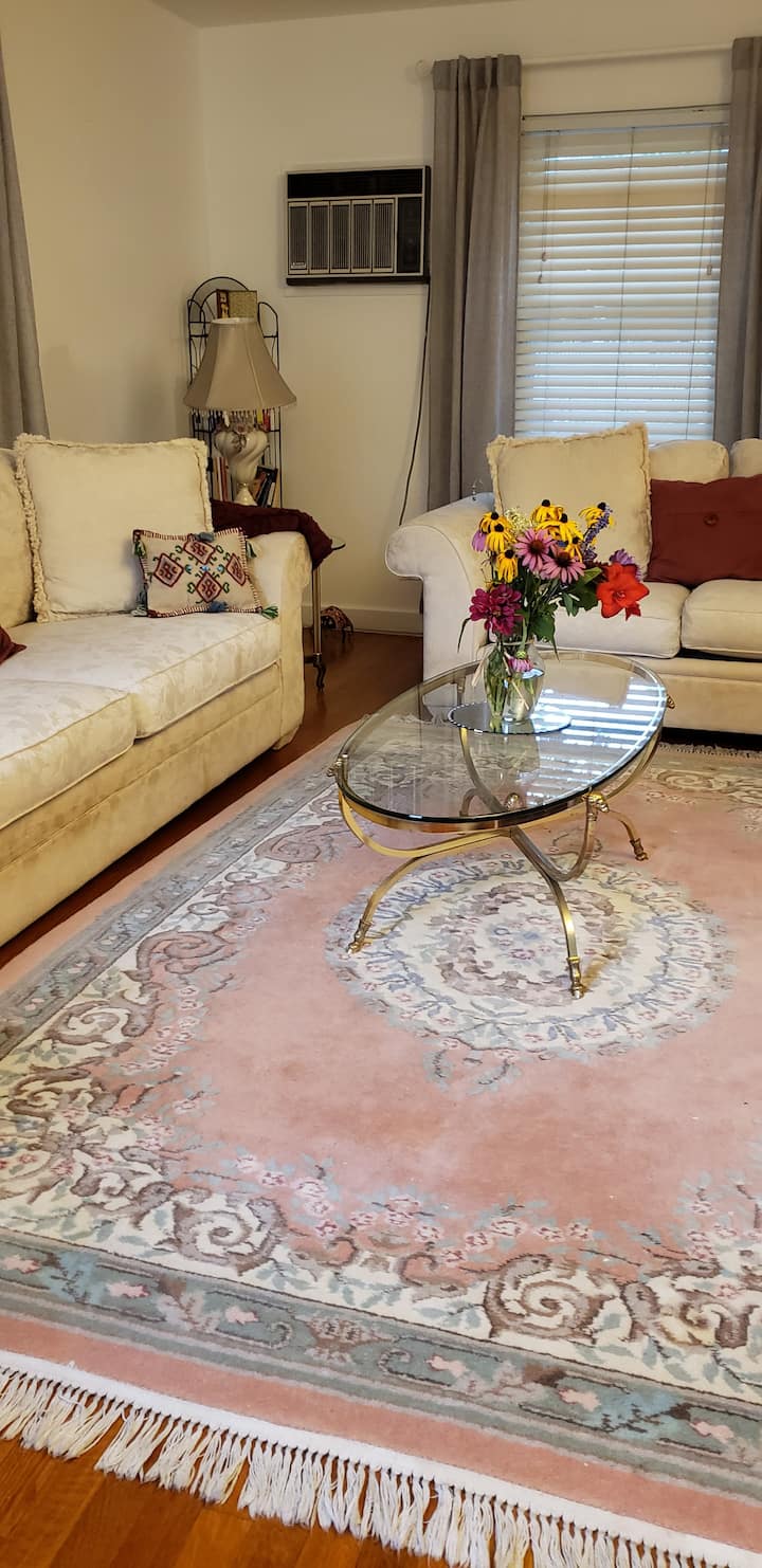 Clean, Cozy, Warm And Bright House With Yard. - New Haven, CT