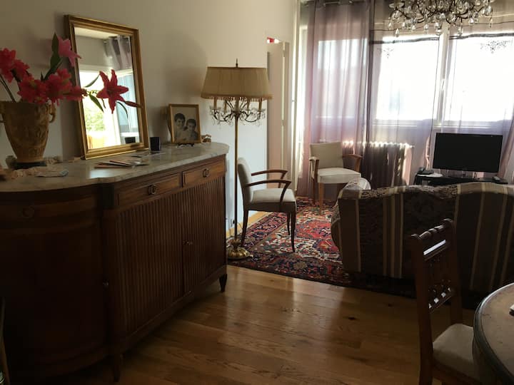 Appartement Annecy Vue Montagnes, - Seynod