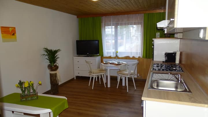 Ferienwohnung Blick Auf Berge Familie Humer - Bad Ischl