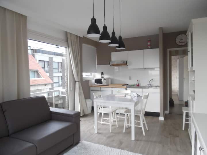 Zeer Lichtrijk Appartement, Uitstekende Ligging. - Middelkerke