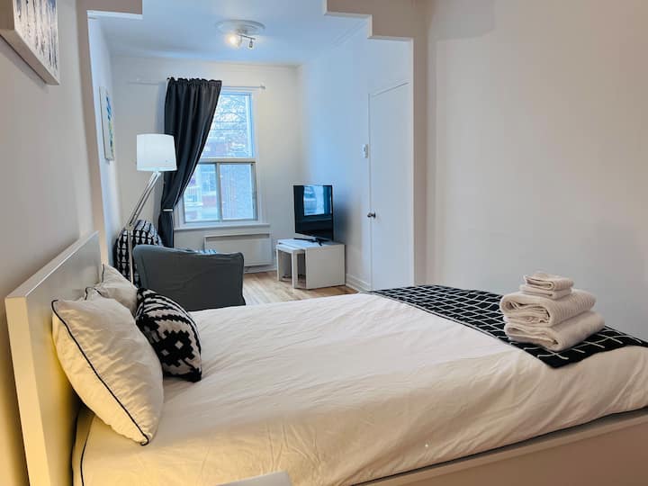 Logement Calme Et Chaleureux Au Centre Ville - Montréal, QC