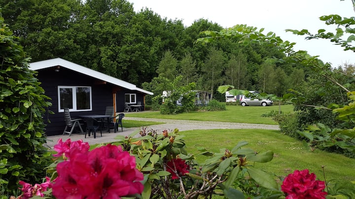 Koe(le) Lodge, Loeigoed Overnachten! - Slagharen