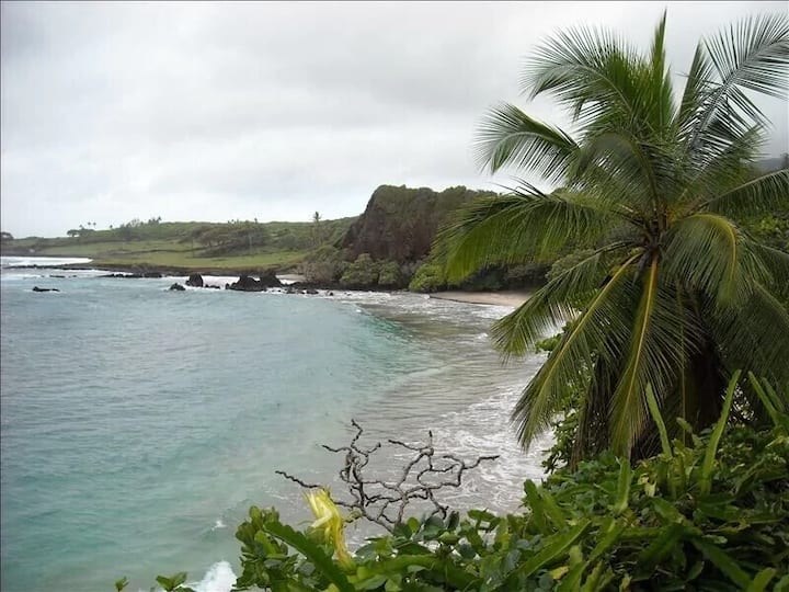 Primewalkable! Ocean Is Steps, A/c, Parking+snacks - Maui, HI