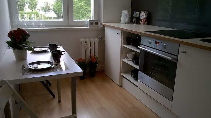 Gray 8. Gdansk Morena - 그다인스크