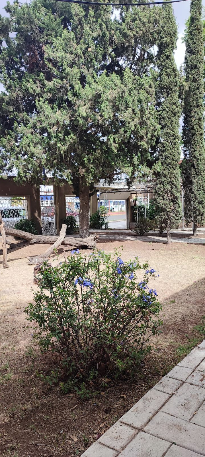 Casa Pino - Fresnillo