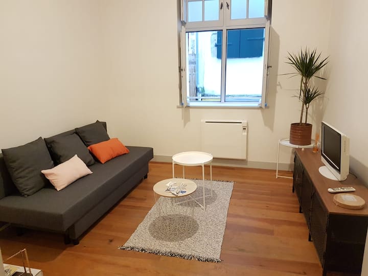 Joli Studio En Plein Coeur De Bayonne - Bayonne