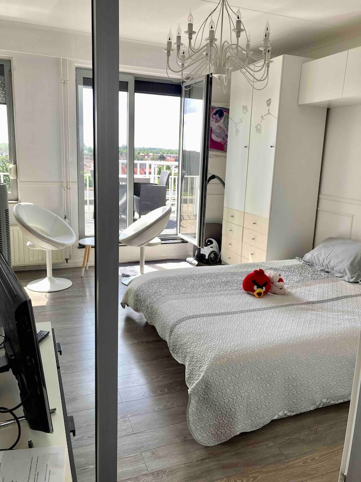 Rooftop Studio With Terrace - Anvers