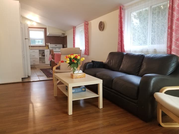 Comfortable 3-bdrm With Hottub & Private Entrance - Ottawa