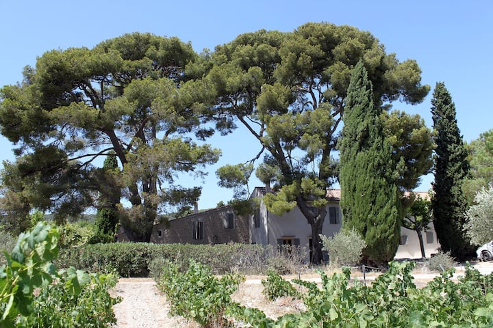 Mas Provençal Du Xvii° Siècle - La Ciotat