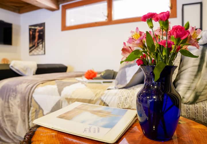 The Saguaro Suite-sw Retreat W/private Entrance - Tucson, AZ