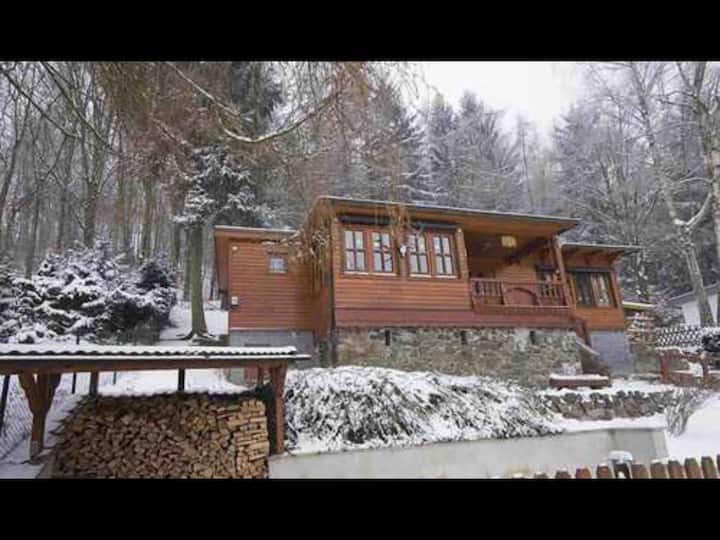 Ferienhaus Fuchsbau - Harz