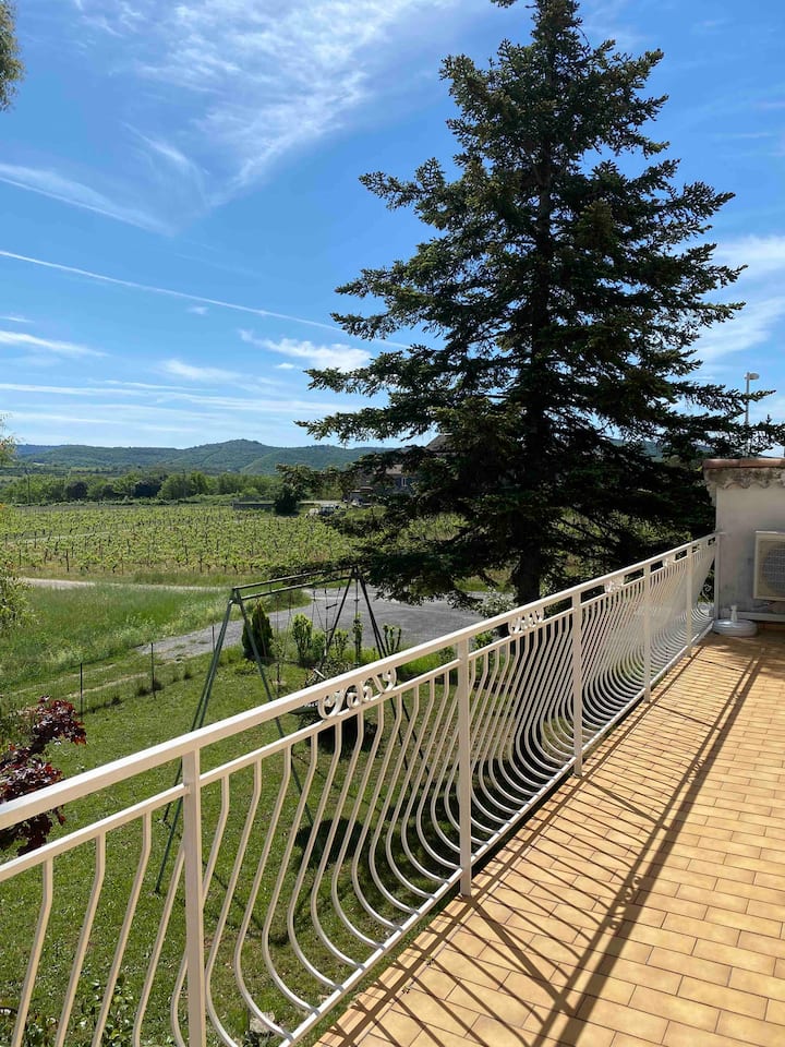 Vue Sur Les Vignes Et Les Collines Du Coiron - Ardèche