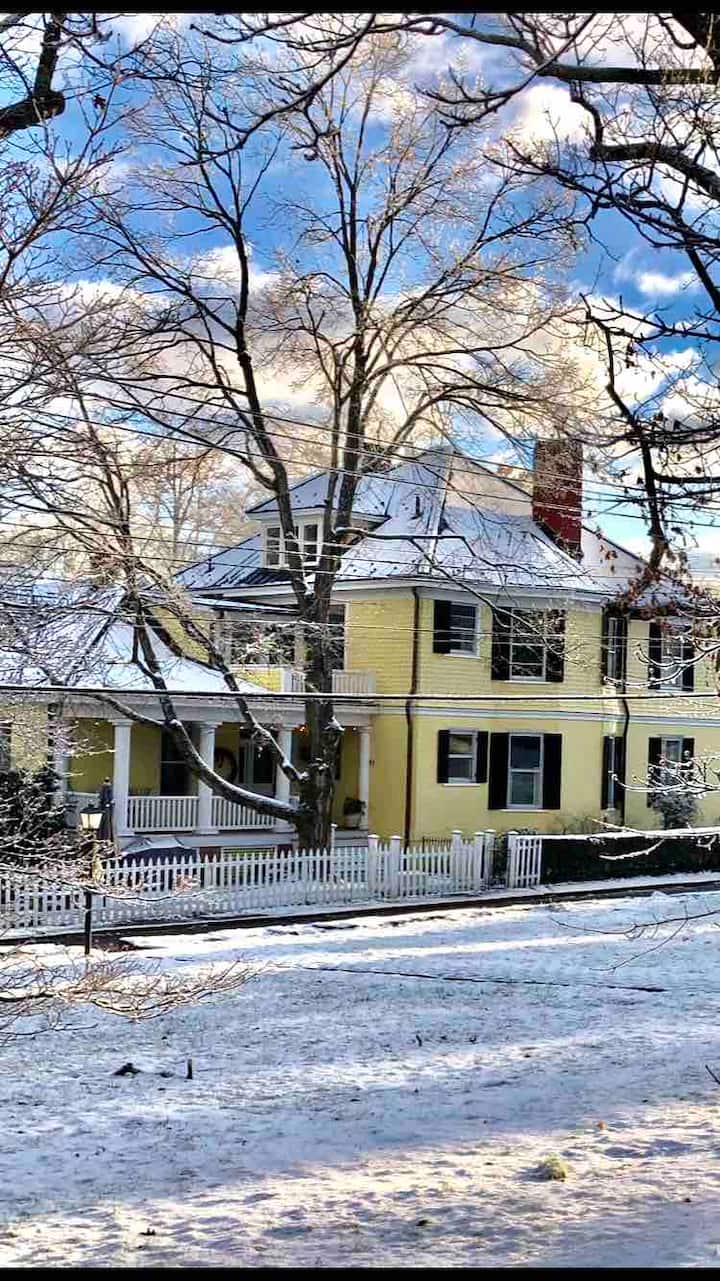 Southern Yellow Charmer- In The Heart Of Lex - Lexington, VA