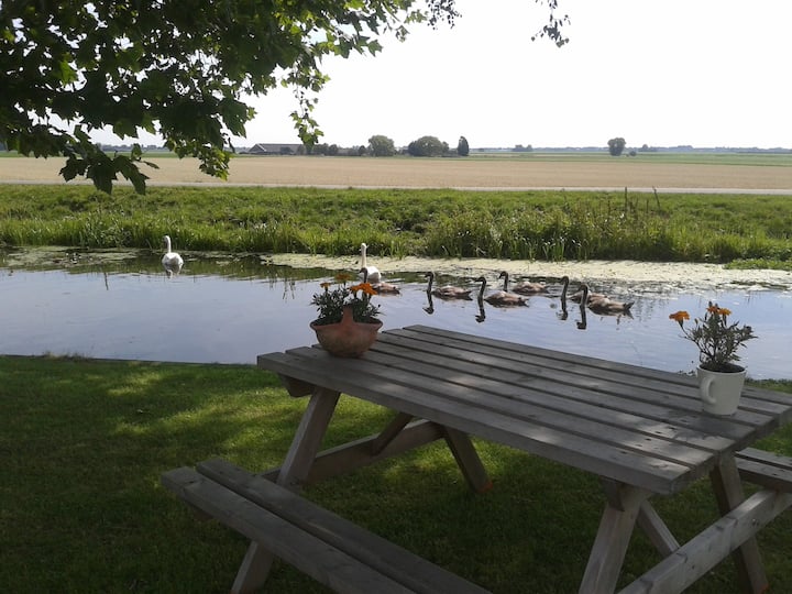 Vakantiehuisje Bij Water En Met Weids Uitzicht. - Bodegraven