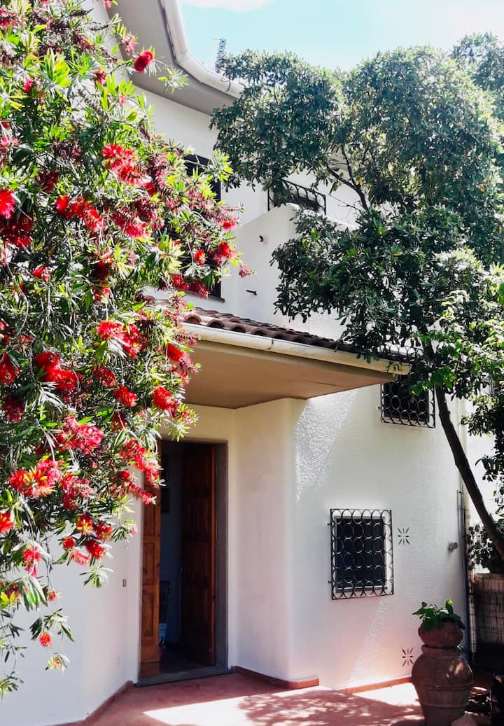Villa Oglio, Sea House - Cecina