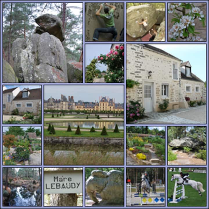 Duplex - La Dame Jeanne D'avon - ibis budget Fontainebleau Avon