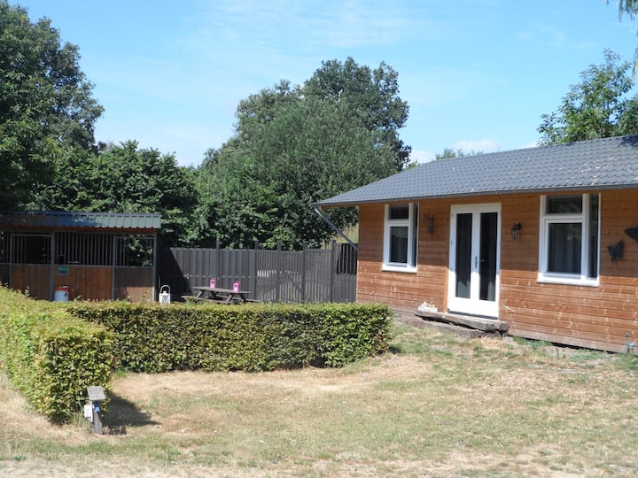 Hoevelust Chalet Met Kindercamping/ Speeltuin - Arendonk