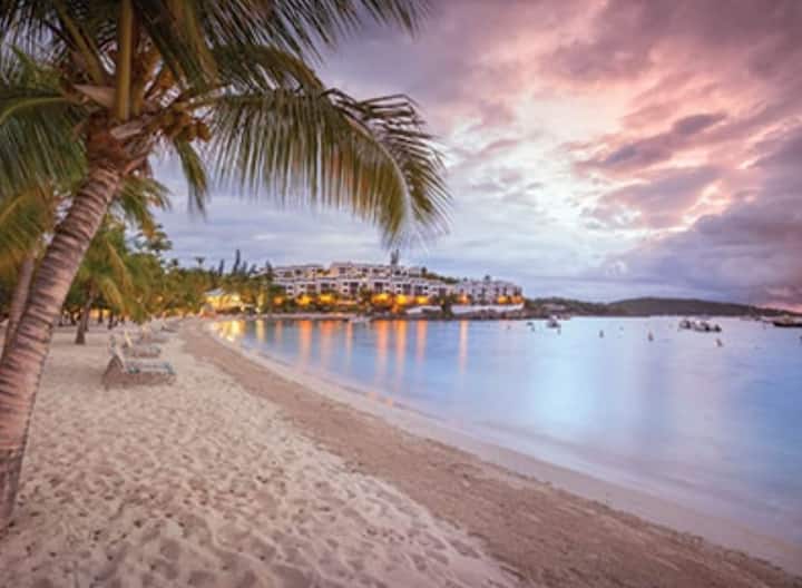 V.i. Studio With 2 Bdl Beds - Elysian Beach Resort - Cruz Bay