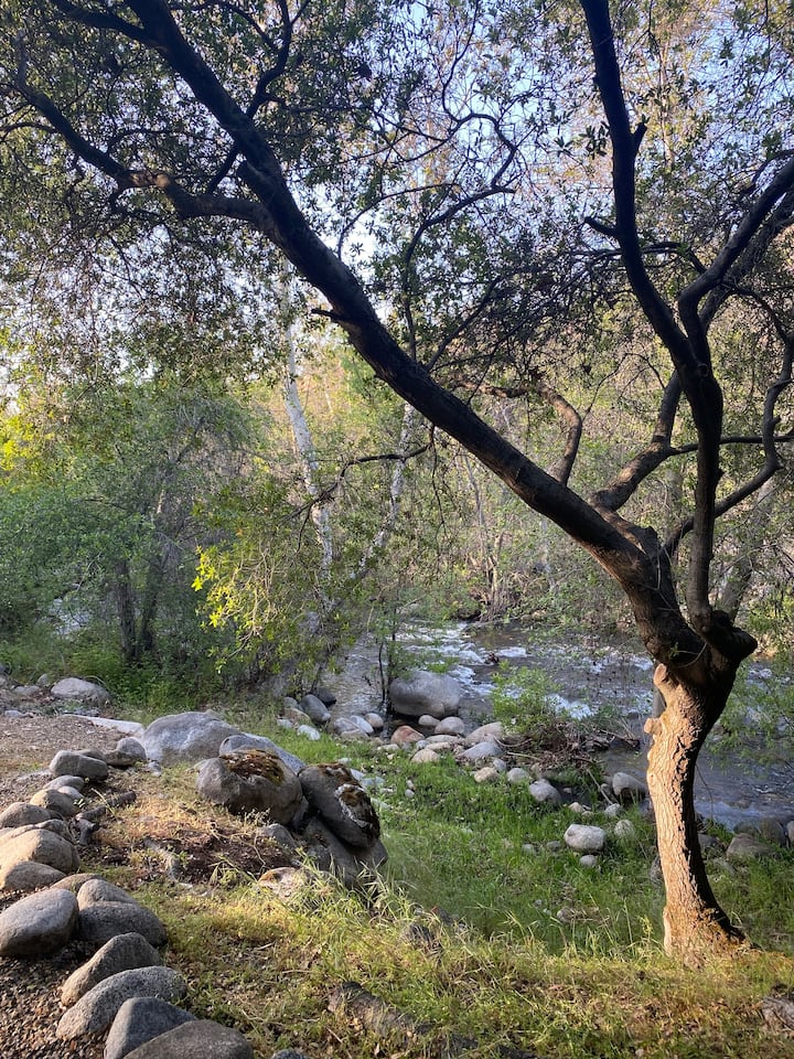Moon River Cottage W/loft * - Sequoia National Park