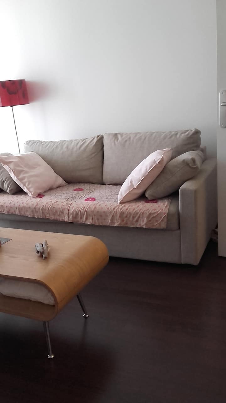 Chambre Dans Appartement Cosy Proche Nantes - Rezé