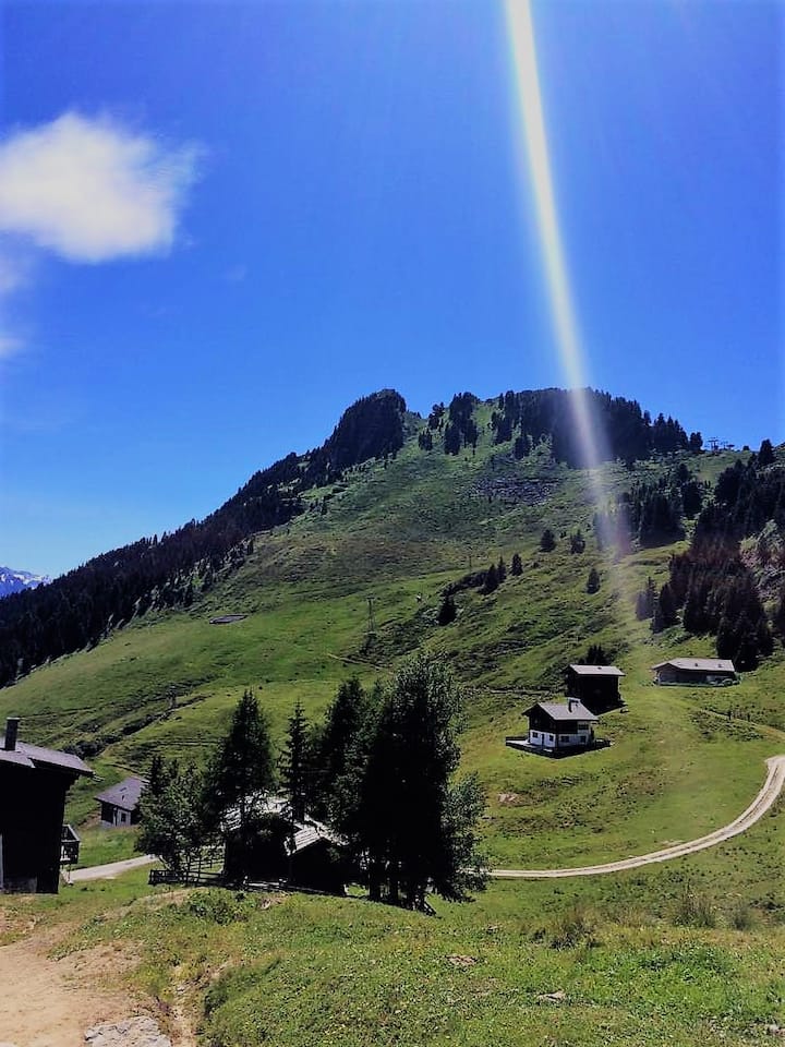 Cozy Home In The Swiss Alps - Riederalp