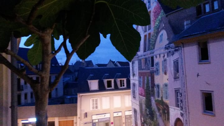 Chambre En Plein Coeur De Chartres - Chartres