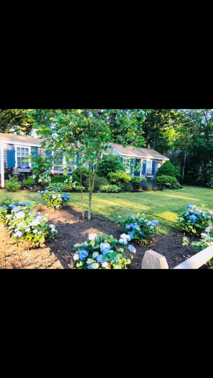 Summer Cottage - Falmouth, MA