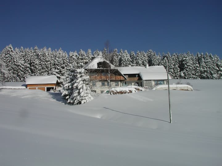 Schweizerhäusle 6a - Appartement 74m2 Avec Balcon - Titisee-Neustadt