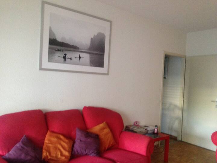 Shared Fully Furnished Apt With Spacious Room - Carouge