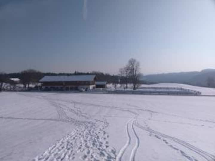Wellnessoase * Außenwhirlpool * Garten * Bergblick - Bad Feilnbach