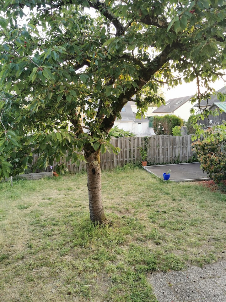 Maison Pour 24 Heures - Le Mans