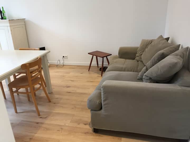 Renovated Apartement With Garden - Amsterdam