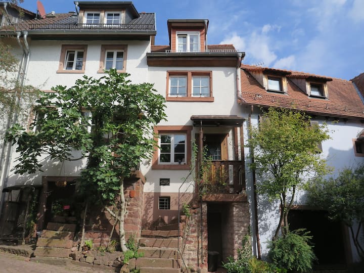 Veste Dilsberg - Neckarsteinach