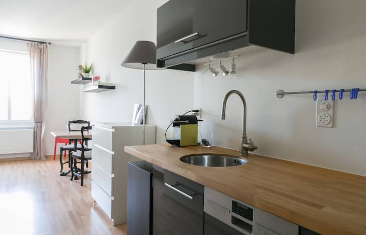 Oasis Of Peace In The Heart Of The Old Town - Genève