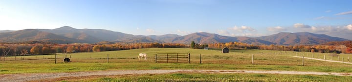 Spectacular Mountain View! - Houses for Rent in Amherst, Virginia ...