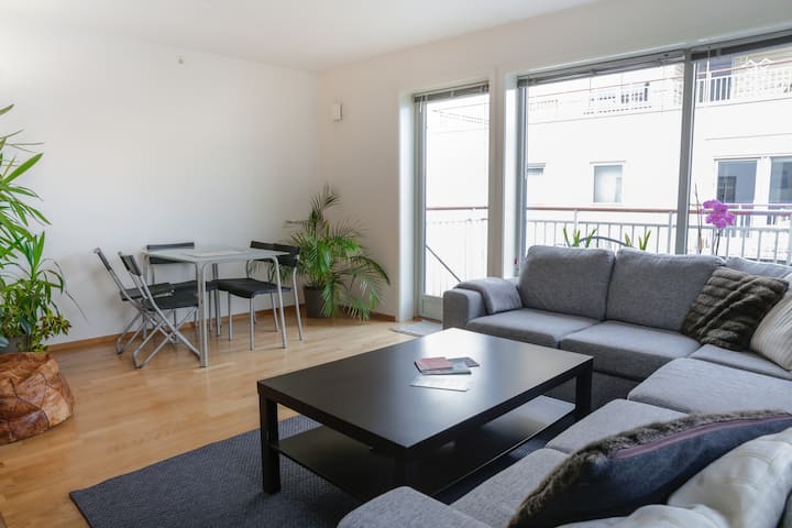 3 Bedroom Apt. In Central Oslo! - Oslo