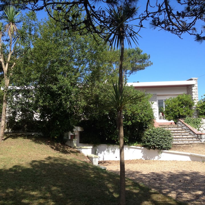 Anglet :Golf, Plages, Surf , Thalasso à Pied - Anglet